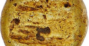 1/12 de estáter | Museu do Dinheiro